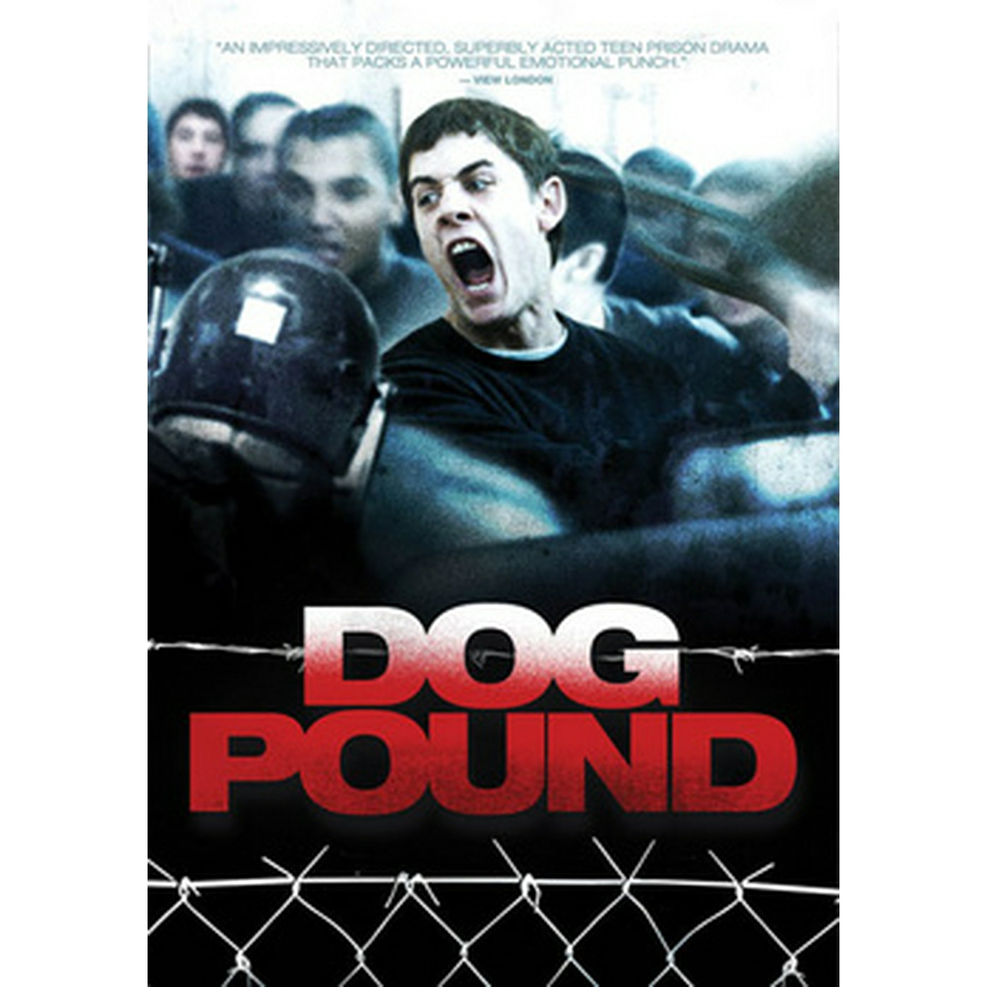 Alexander Conti Dog Pound