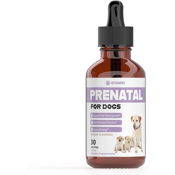 Dog Prenatal Vitamins
