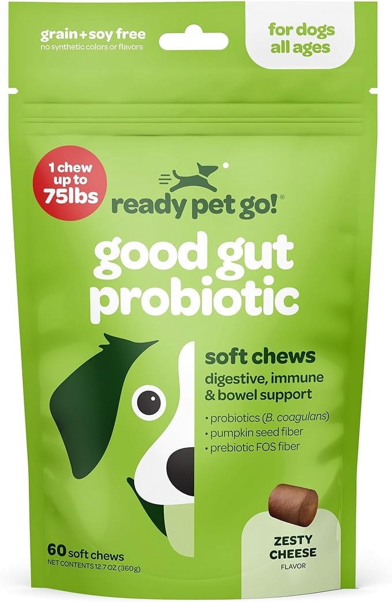 Dog Probiotic Chews for Gut Health with Prebiotic FOS Fiber and Pumpkin ...