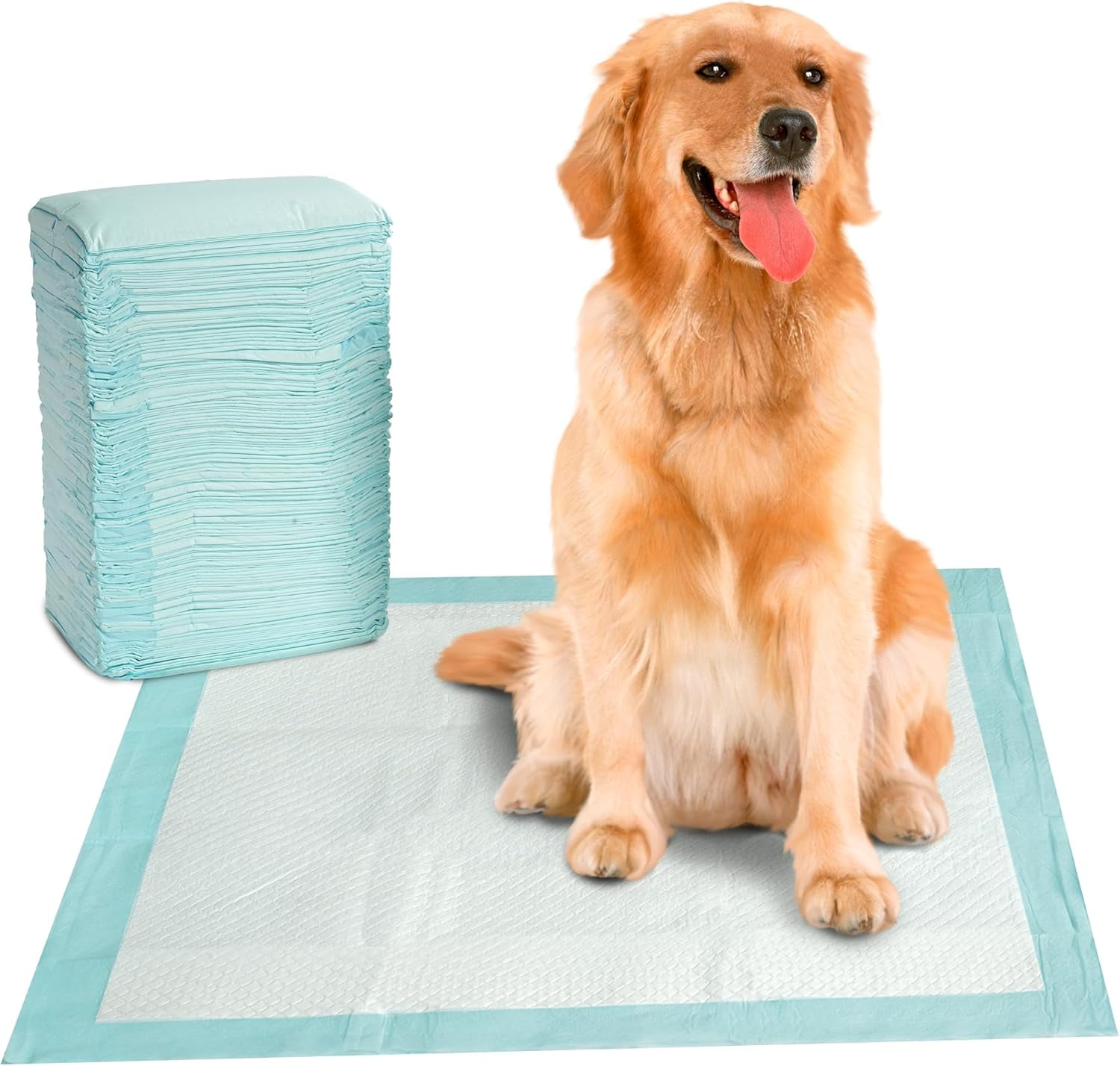 Dog and Puppy Pads with Leak-Proof Quick-Dry Design for Potty Training ...