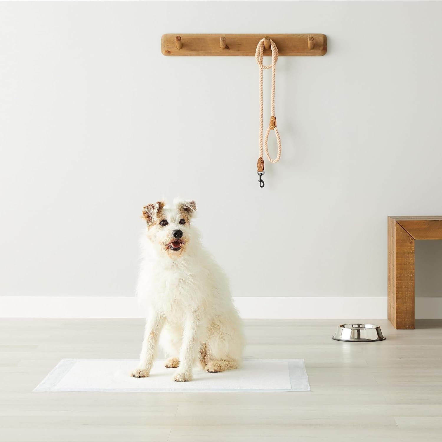 Dog and Puppy Pee Pads with Leak-Proof Quick-Dry Design for Potty ...