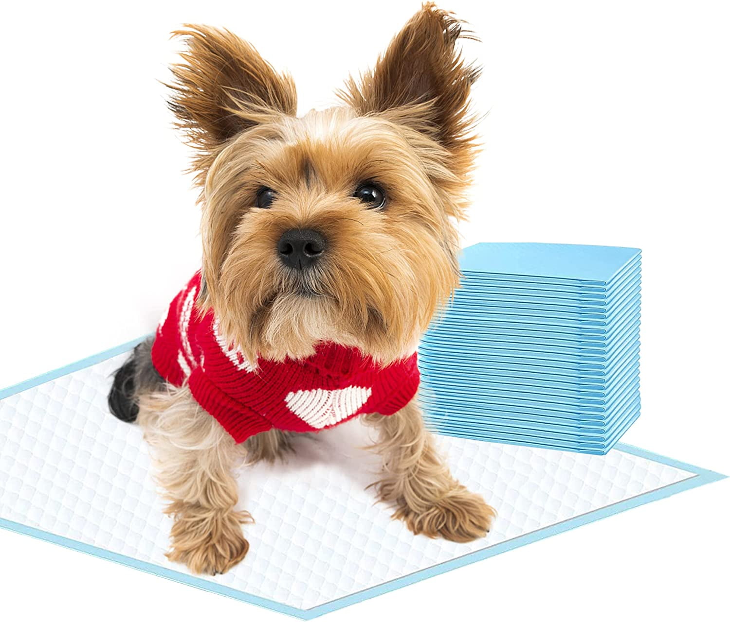 Dog and Puppy Training Pads, Potty Pads, Dog Pads Diapers Leak-Proof 6 ...