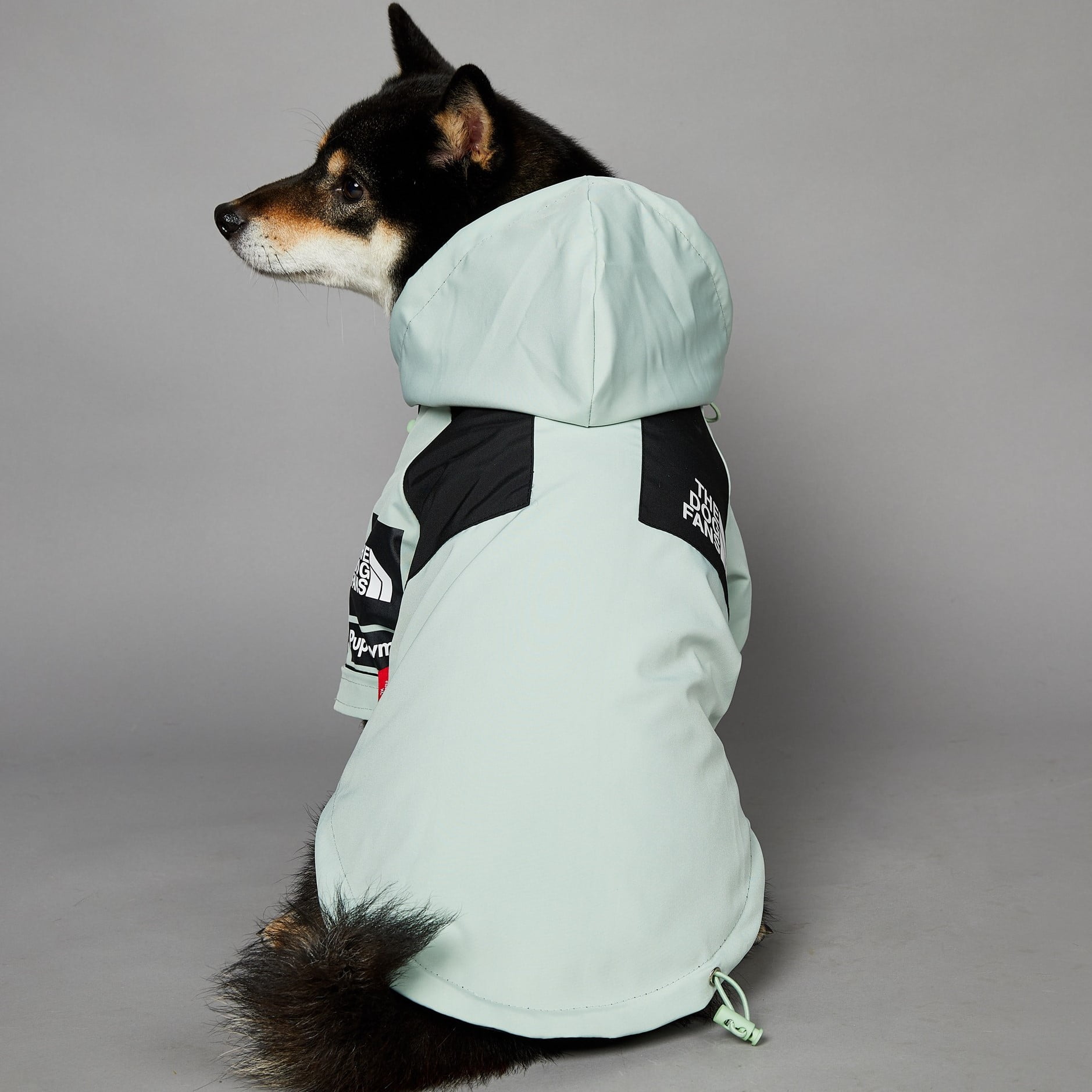Dog Raincoat for Small & Medium Dogs – Waterproof Hooded Jacket with ...