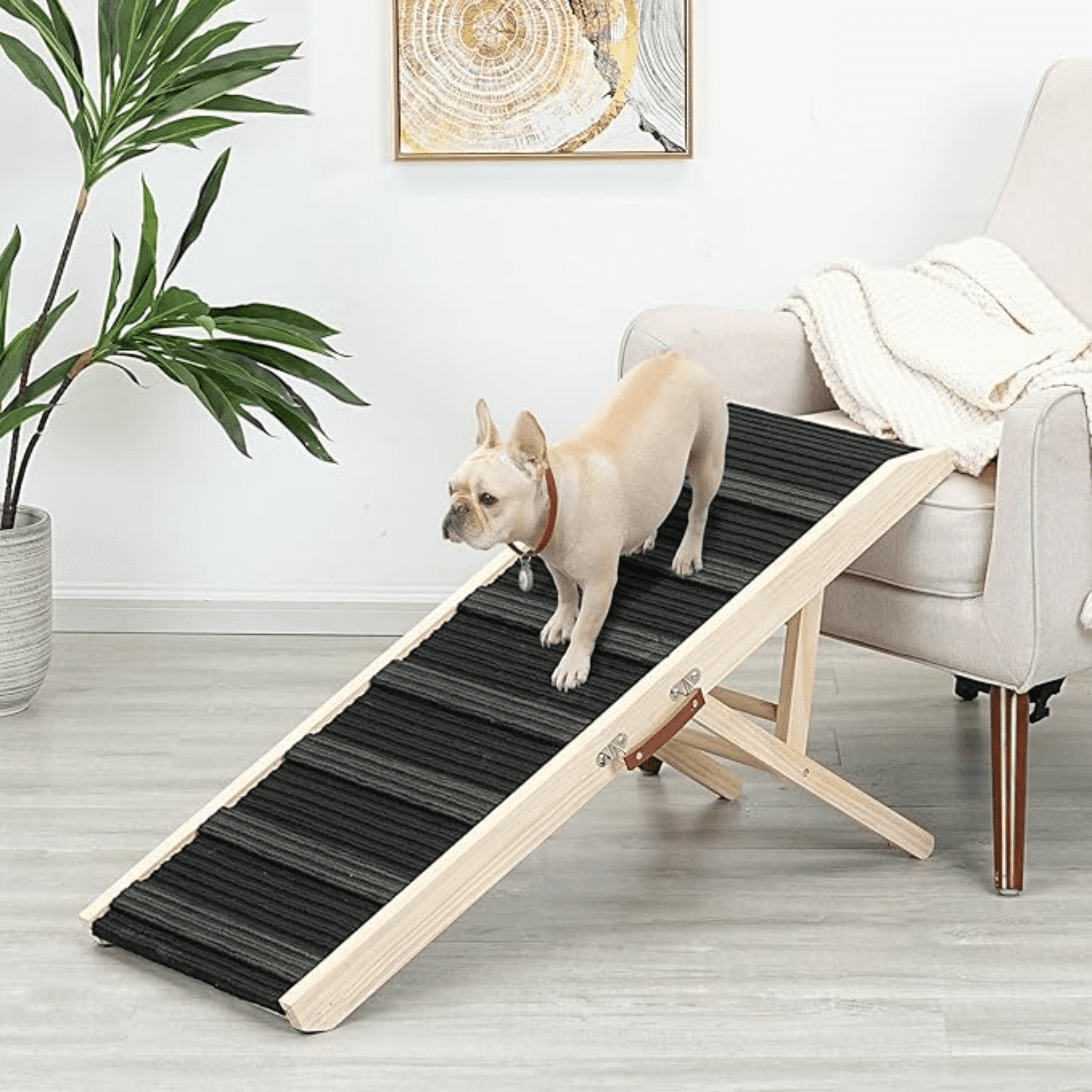 Dog Ramp for Bed - Car Ramp for Dog - Anti-Slip Carpet - 39" Long ...