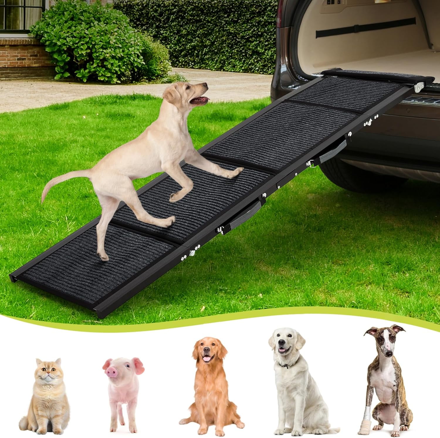 Dog Ramp Folding Pet Ramp with Non-Slip Surface & Side Rails Dog Stairs ...