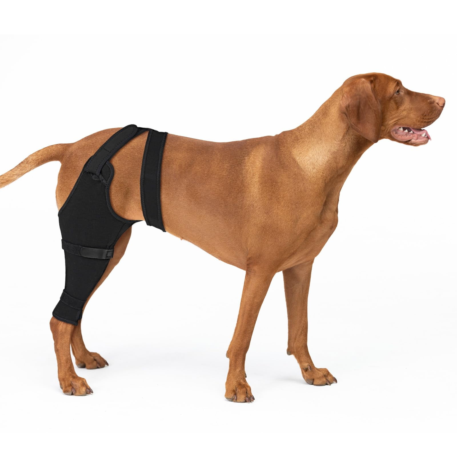 Dog Rear Leg Recovery Sleeve for SMRTPLO to Stop Licking, Wound ...