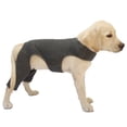 Dog Rear Leg Sleeve Prevent Licking Warm and Protects Help Prevent ...
