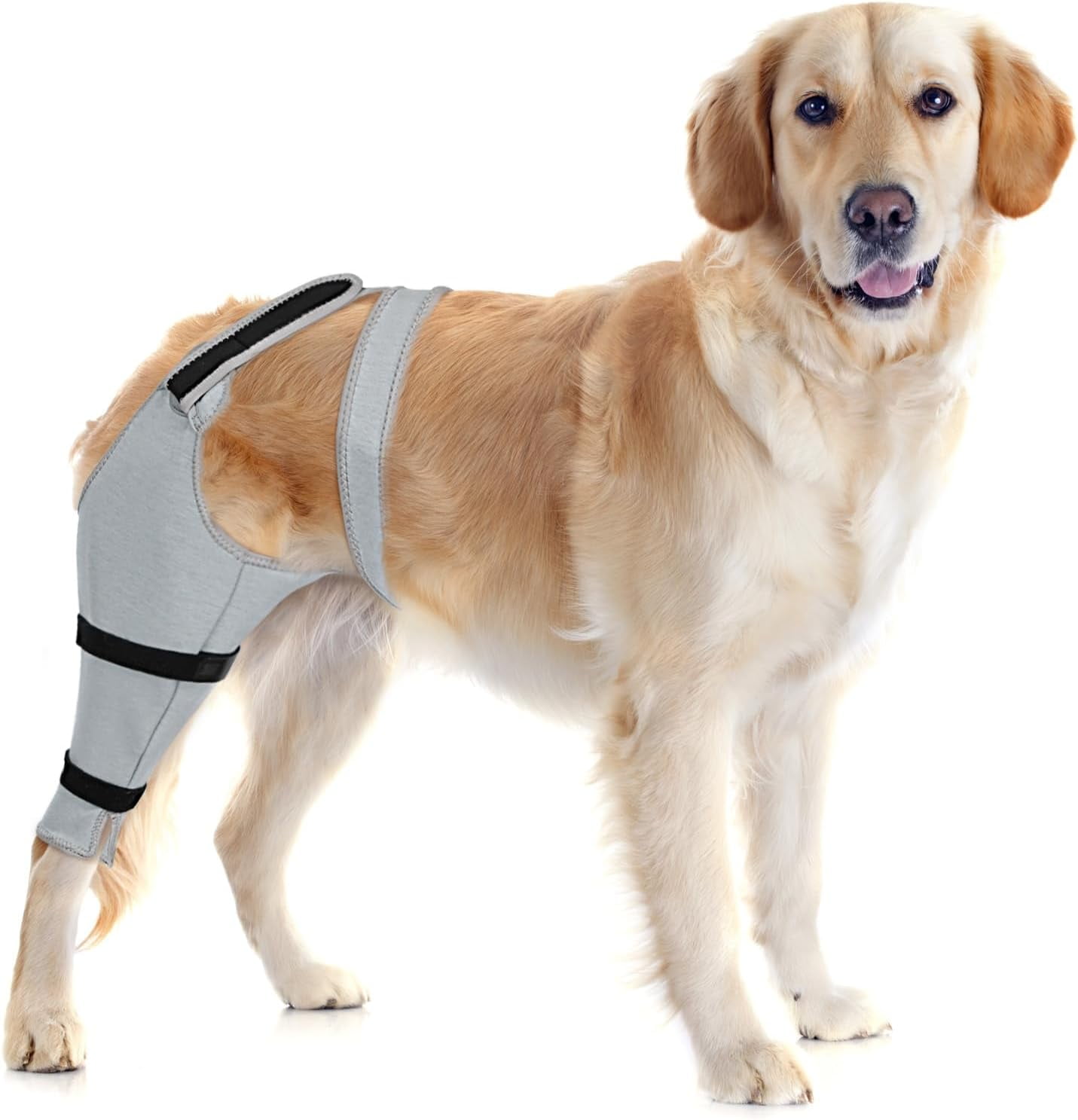 Dog Rear Leg Sleeve to Stop Licking, Soft Breathable Surgical Sleeve ...
