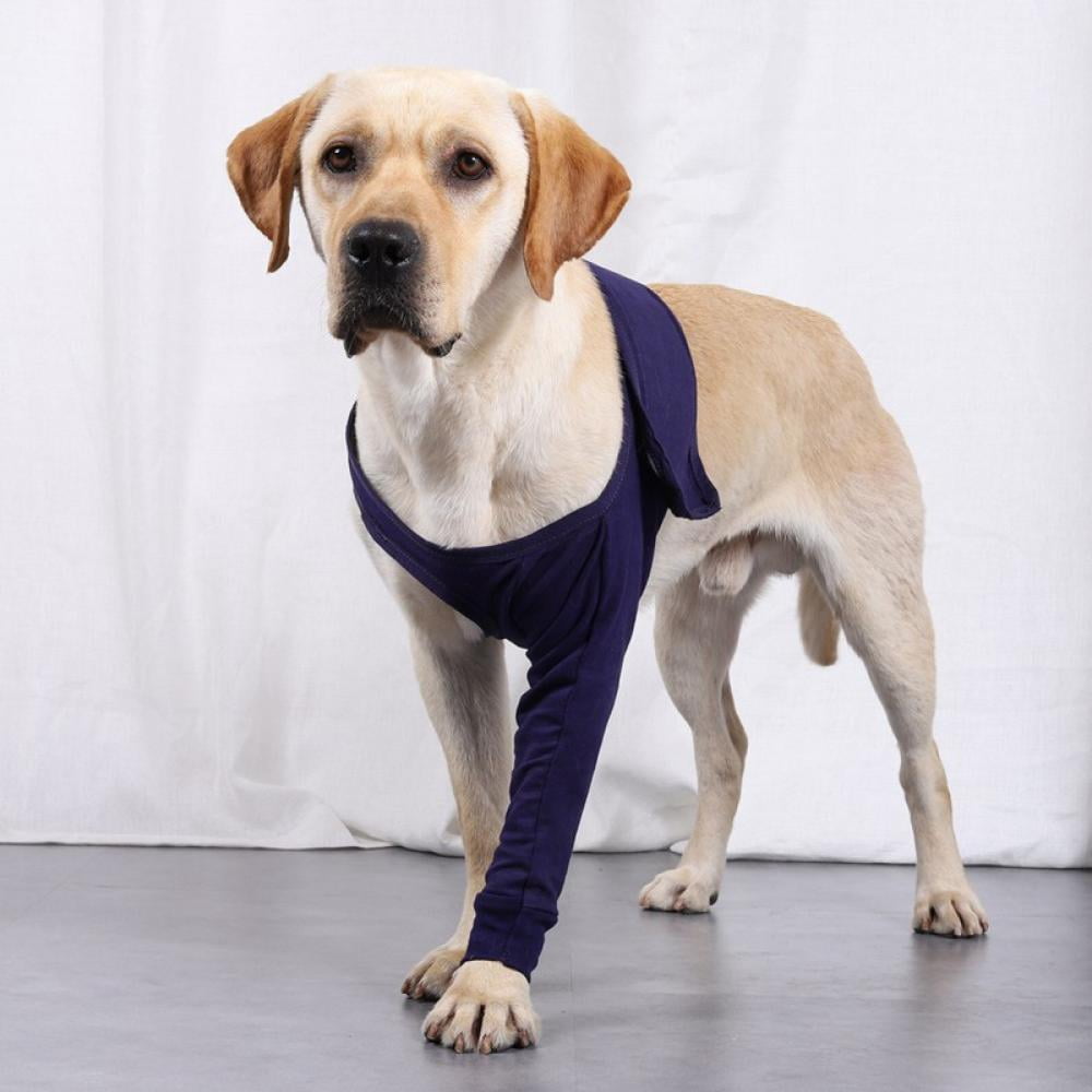 Dog Recovery Sleeve Front Leg - Knee Brace After Surgery Wear Hip and ...