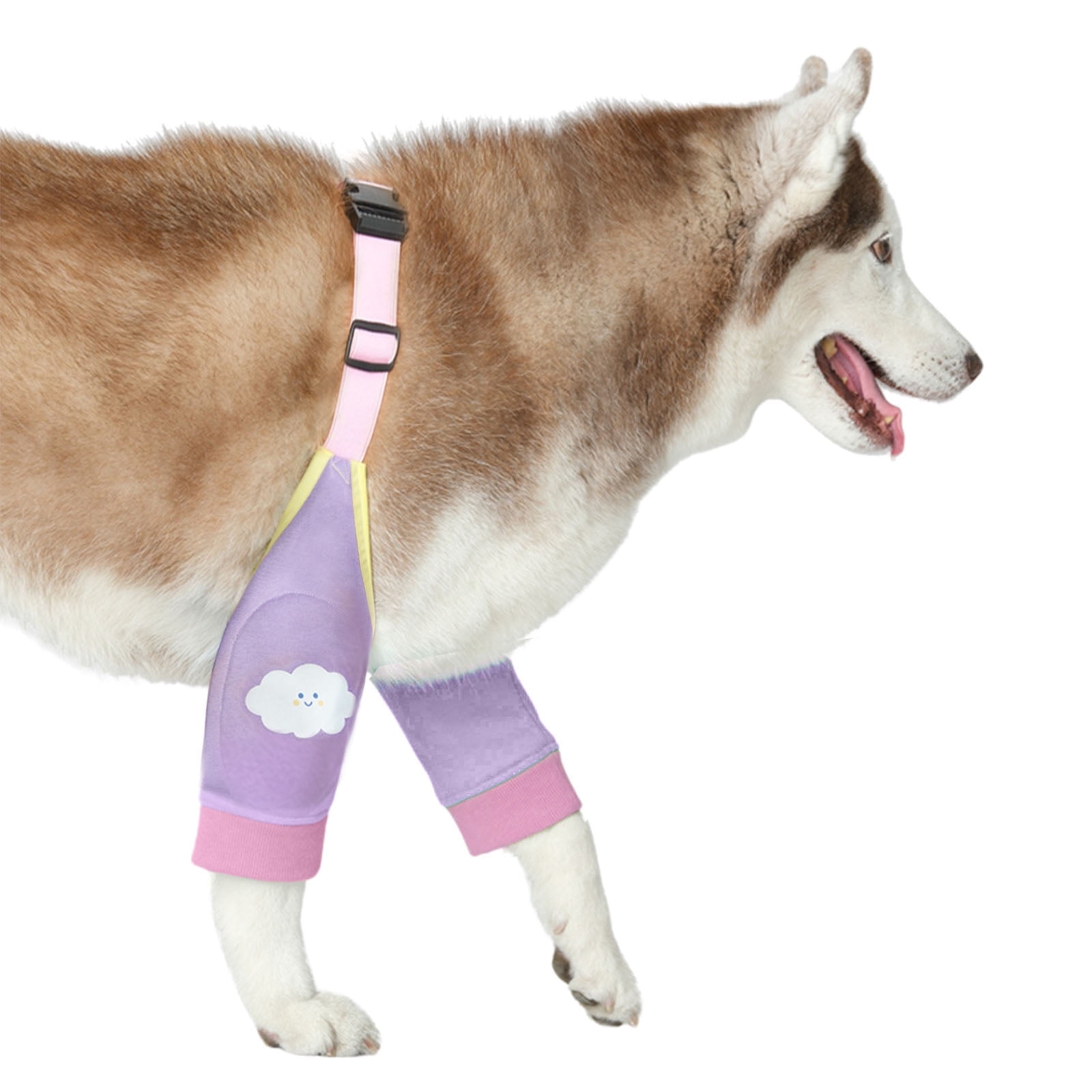 Dog Recovery Sleeve with Paded, Dogs Front Leg Sleeves After Surgery ...