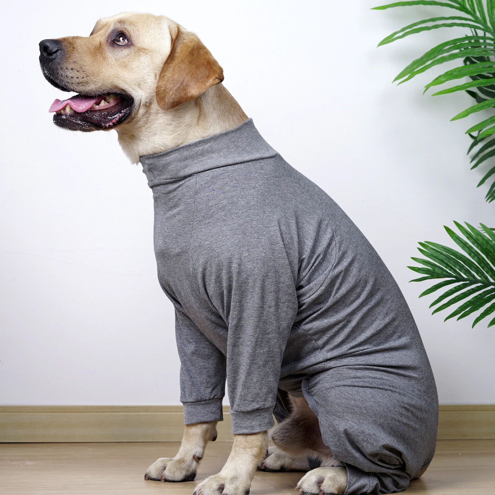 Dog Recovery Suit After Surgery Anti-lick Wound Sterilization Suit Anti ...