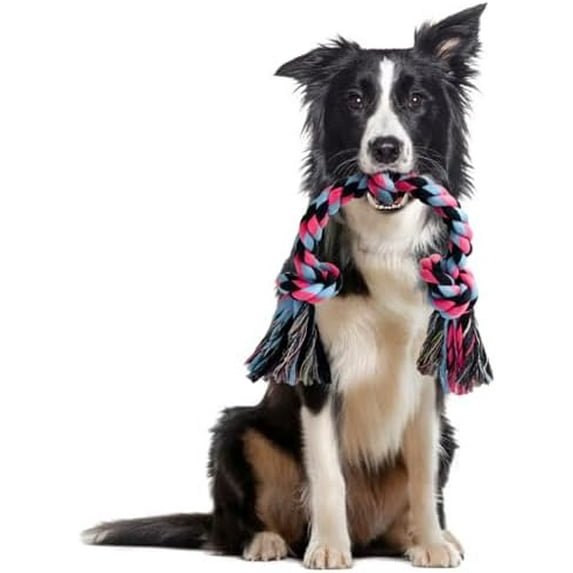 Dog Rope Toy for for Medium Dogs, Durable Cotton Dog Chew Toys for ...