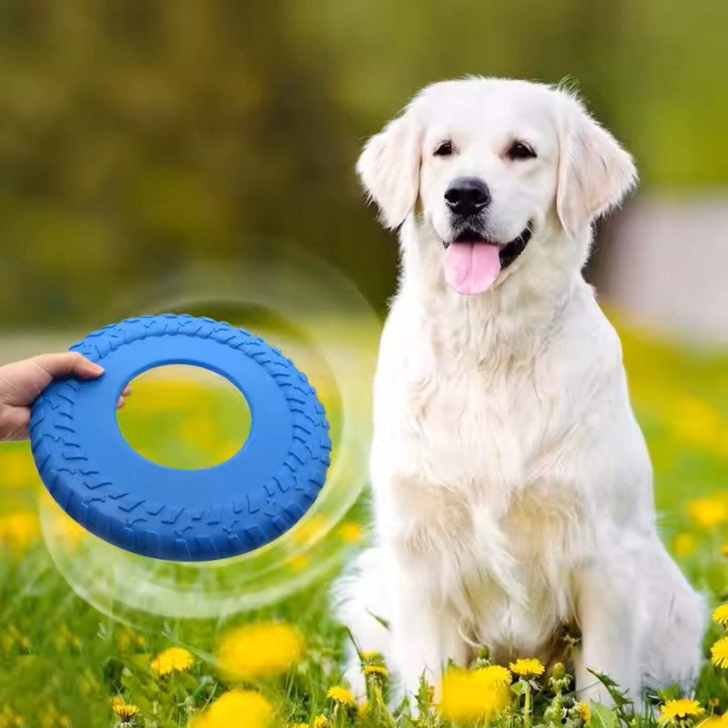 Outdoor Blue Dog Rubber Tire Flyer Dog Frisbee Fetch Toy - Walmart.com