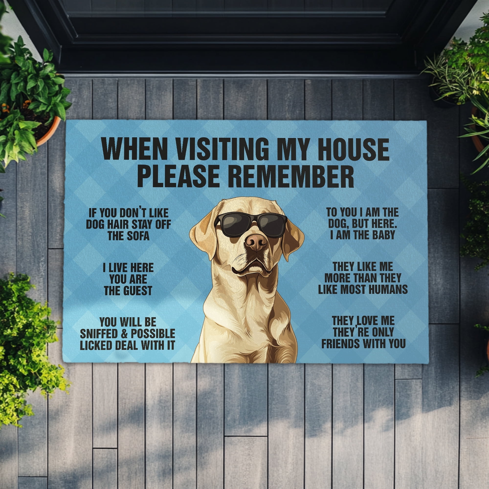 Dog Rules Doormat, Funny Pet Welcome Mat for Guests, Labrador Dog Entry ...