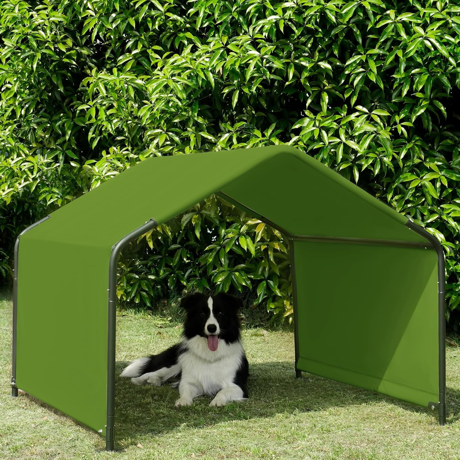 Dog Shade Shelter Outdoor Dark Green Tent for Large Medium Dogs, 4'x4 ...