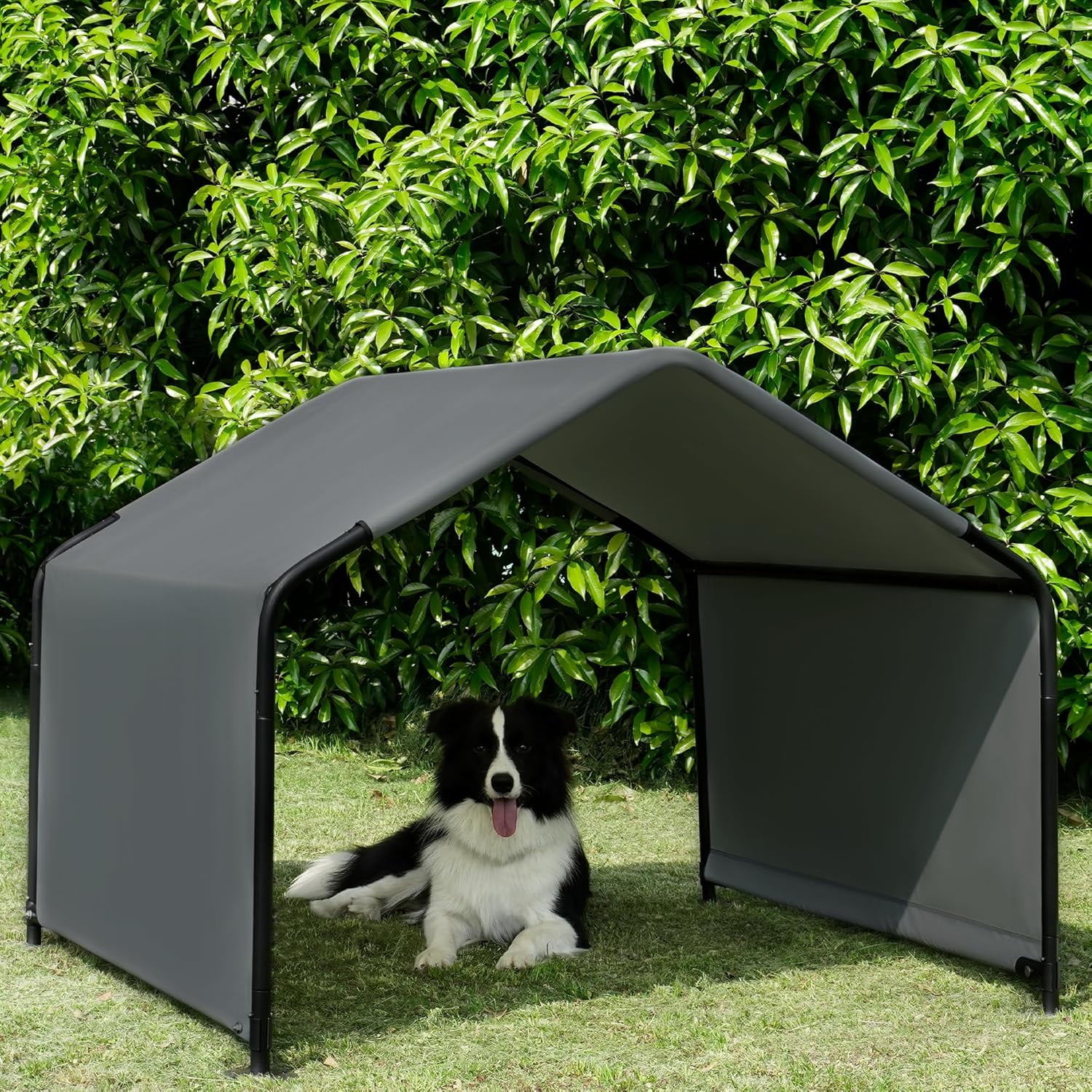 Dog Shade Shelter Outdoor Deep Grey Tent for Large Medium Dogs, 4'x4'x3 ...