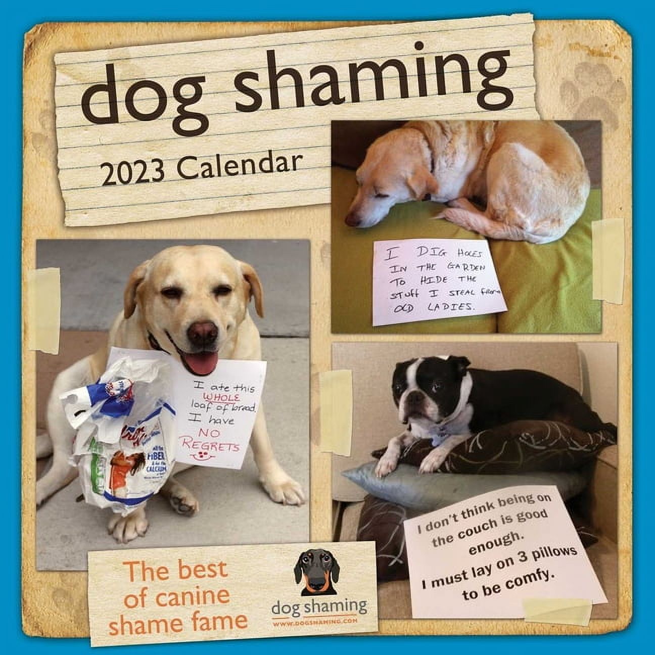 Dog Shaming Calendar 2020