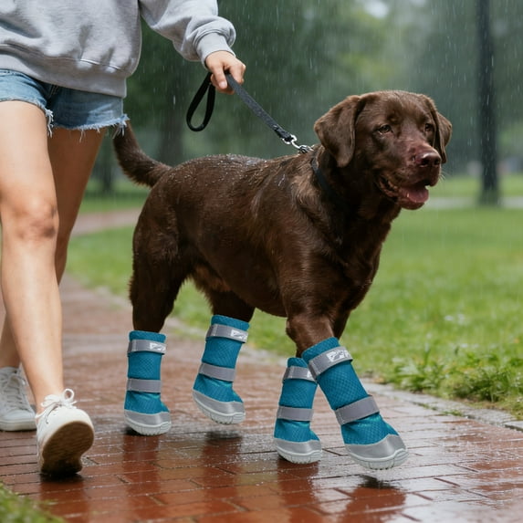 Dog Shoes Lightweight Large Dog Shoes Outdoor Walking Running Shoes ...