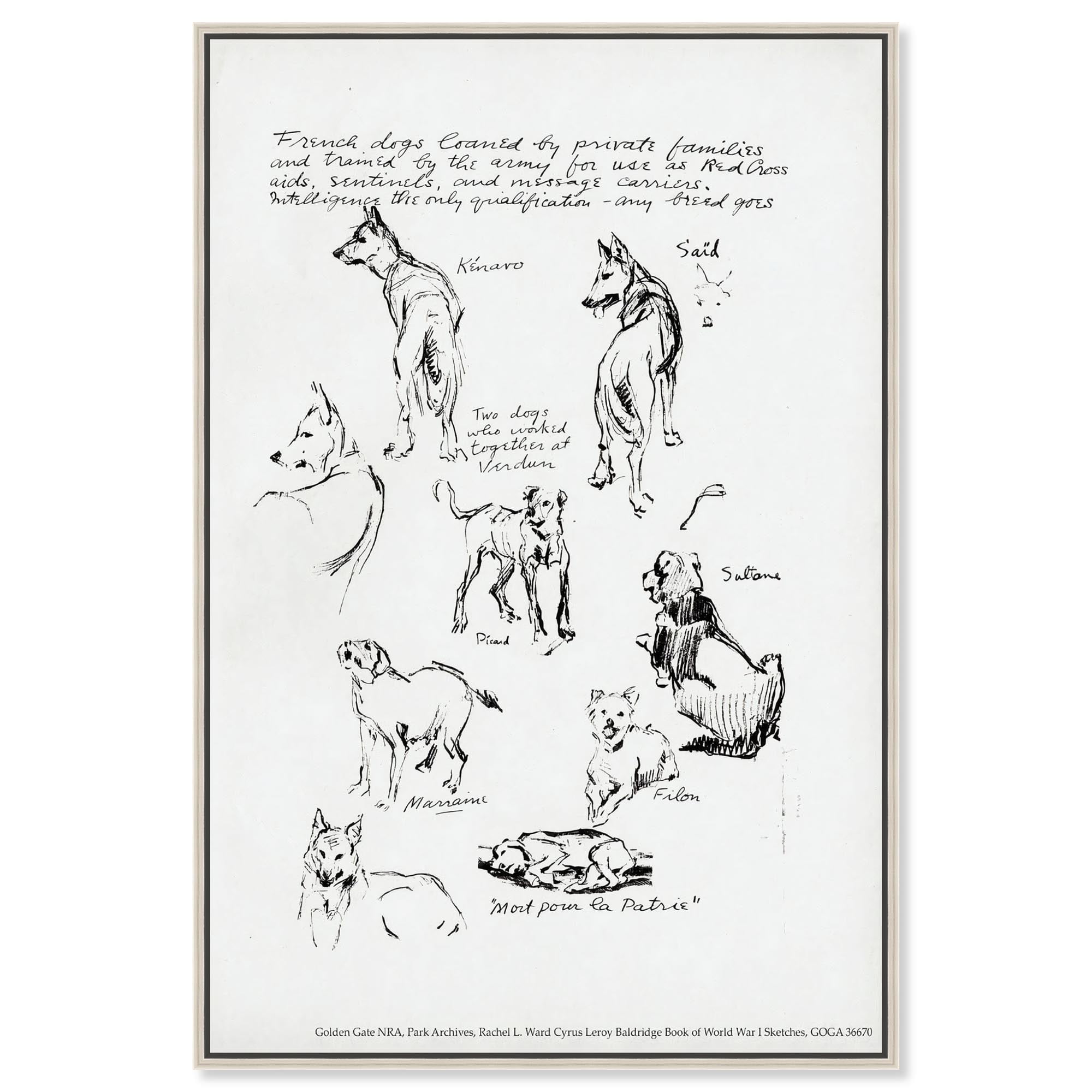 Dog Sketches 1917 Canvas Animal Line Art by Art Remedy, Silver Frame ...