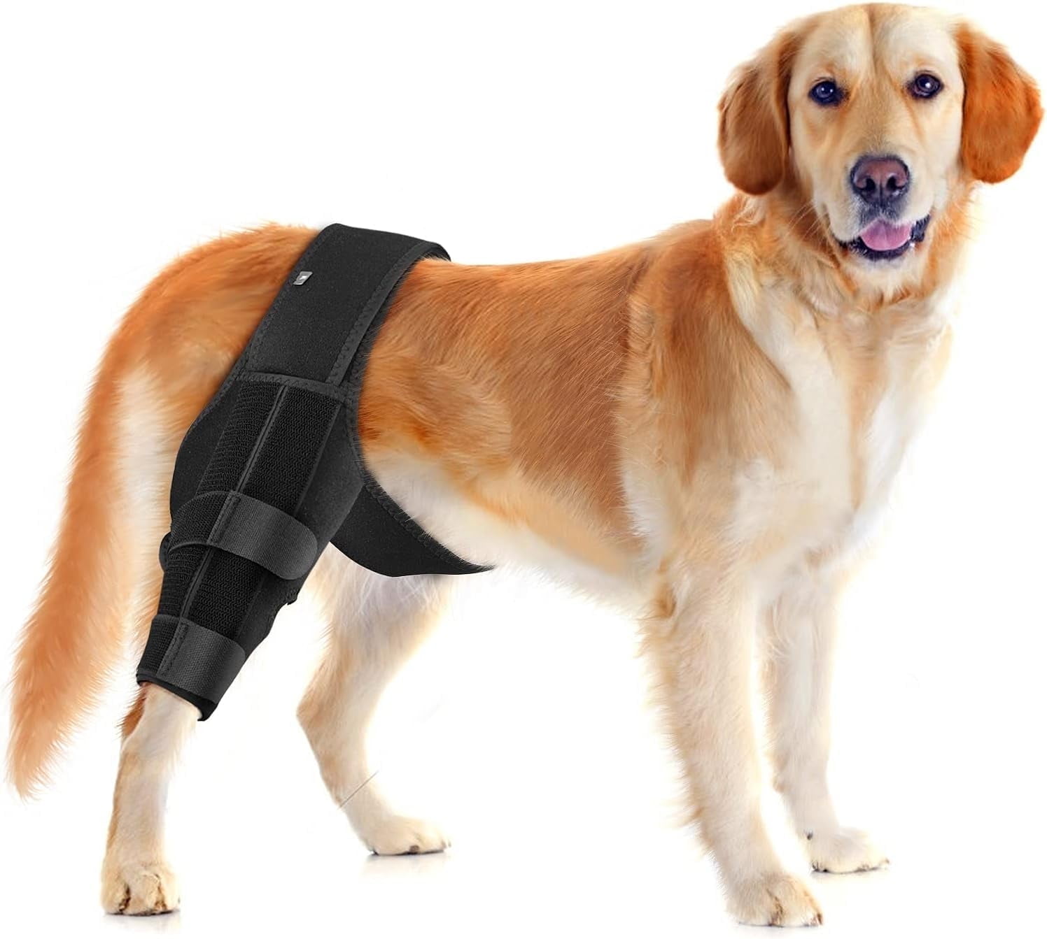 Dog Sleeve for Hind Legs to Stop Licking, Upgraded Surgical Recovery ...
