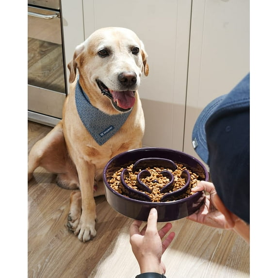 Dog Slow Feeder Bowl, 3 Cups Ceramic Maze Pattern for Large Breed, Blue ...