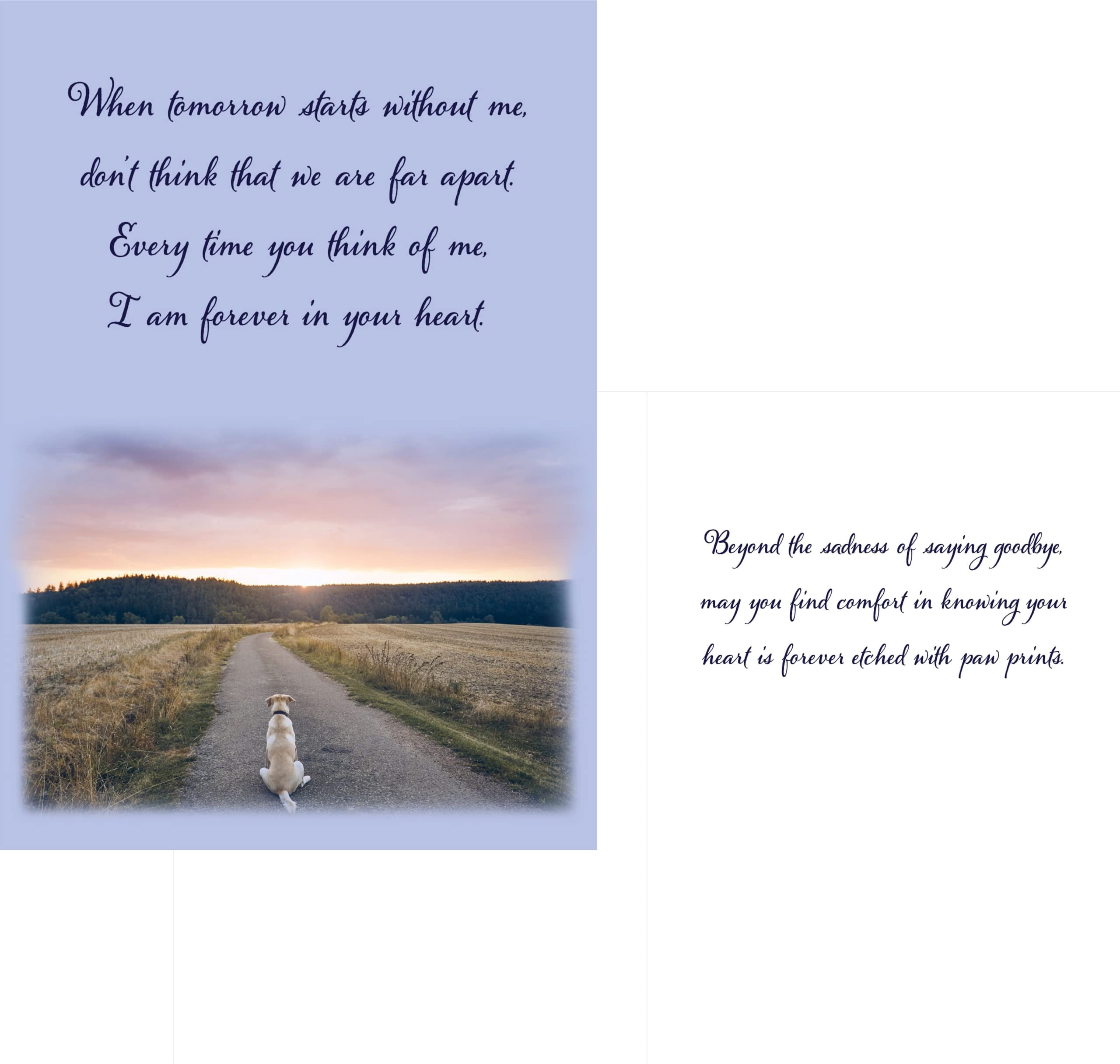 Dog Speak When Tomorrow Starts Without Me, I Am Forever In Your Heart ...