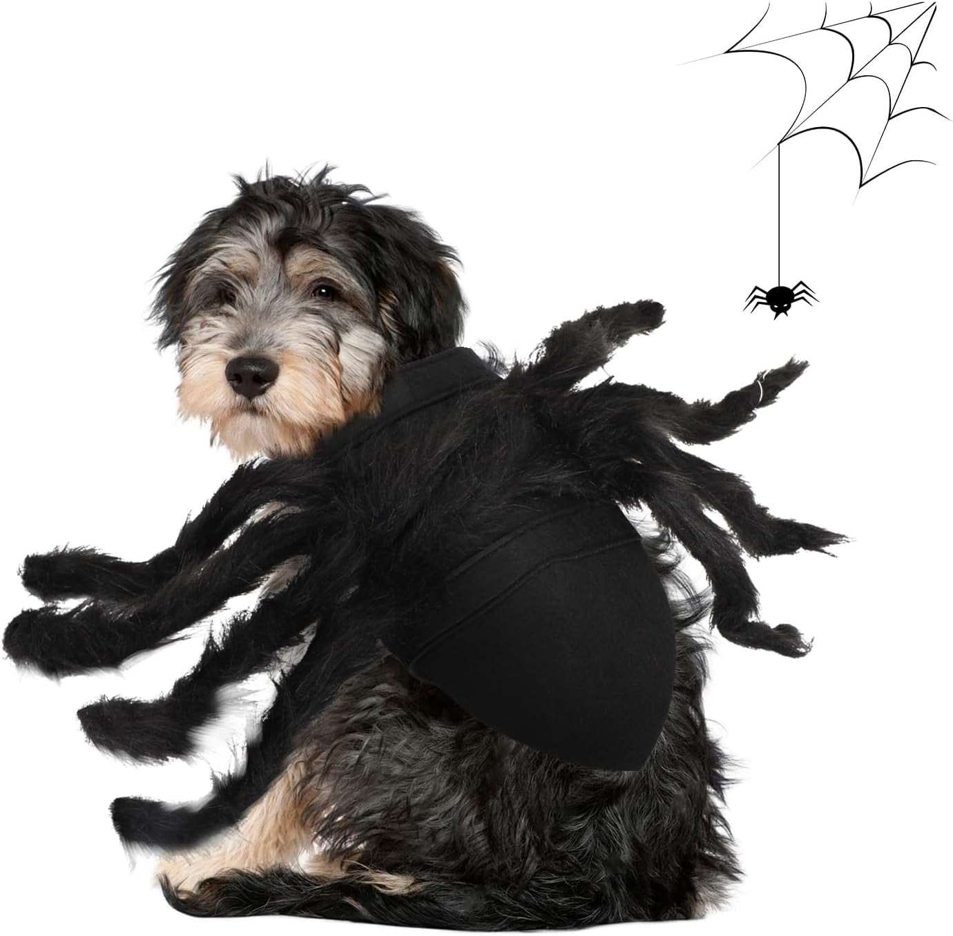 Dog Spider Costume, Halloween Spider Costume for Dog Cat, Dog Halloween ...