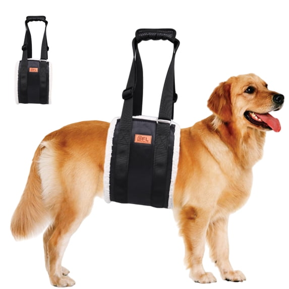 Dog Support Belt Foldable Design Comfort Gripping Handle Adjustable ...