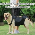 Dog Support Sling for Rehabilitation and Mobility Assistance Pet Care ...