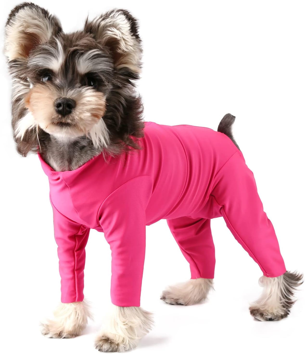 Dog Surgery Suit Female Spay Dog Onesie for Surgery Female Recovery ...