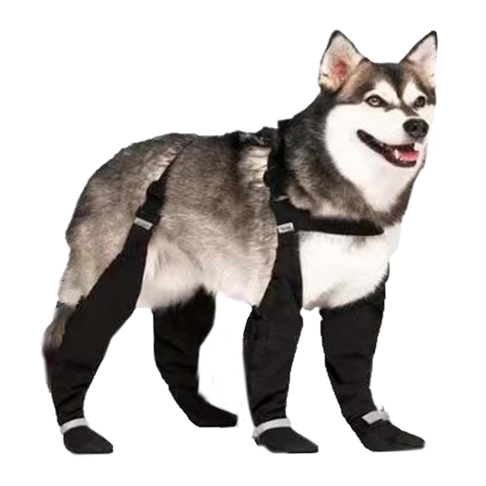 Dog Suspender Boot Leggings, Waterproof Booties for Small and Medium ...