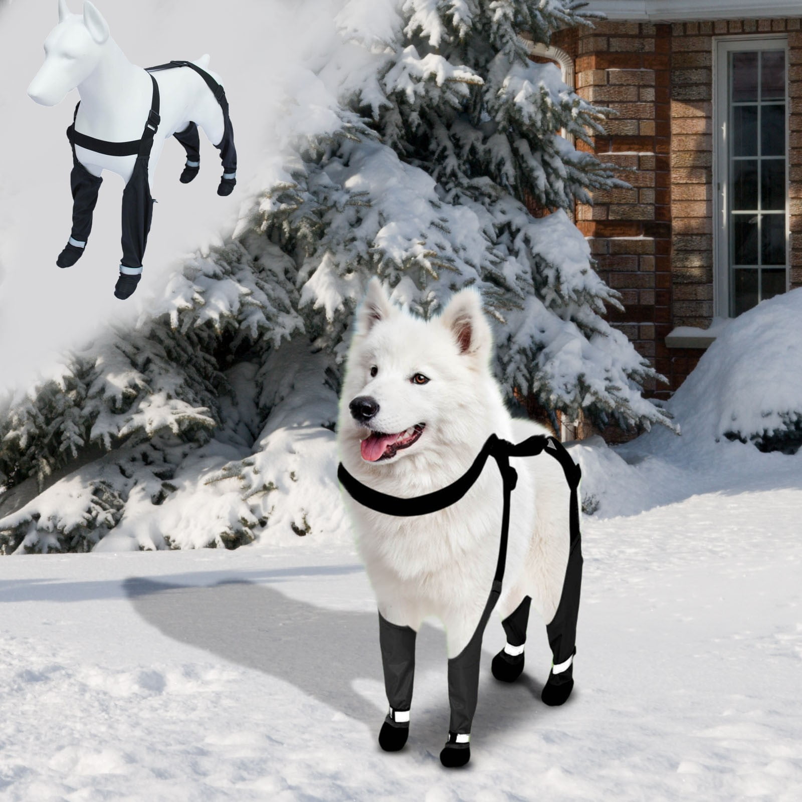 Dog Suspender Booties, Dog Paw Boot Leggings Non-Slip, Adjustable ...