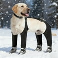 Dog Suspender Boots Tall Dog Boots Anti- & Fall Waterproof Shoes ...