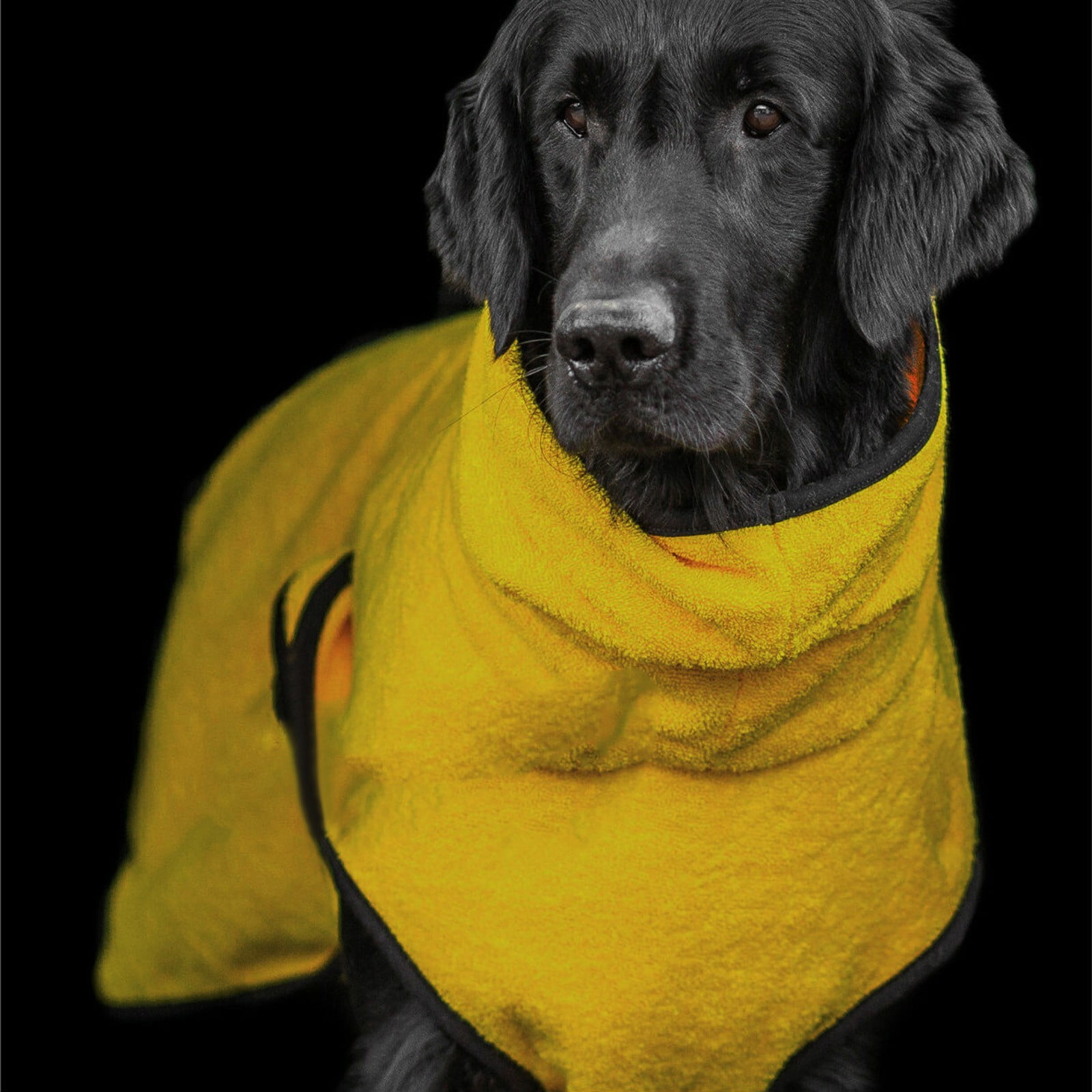 Dog Sweaters, Adjustable Waist Dog Bathrobe Towel, Winter Warm Dog Coat ...