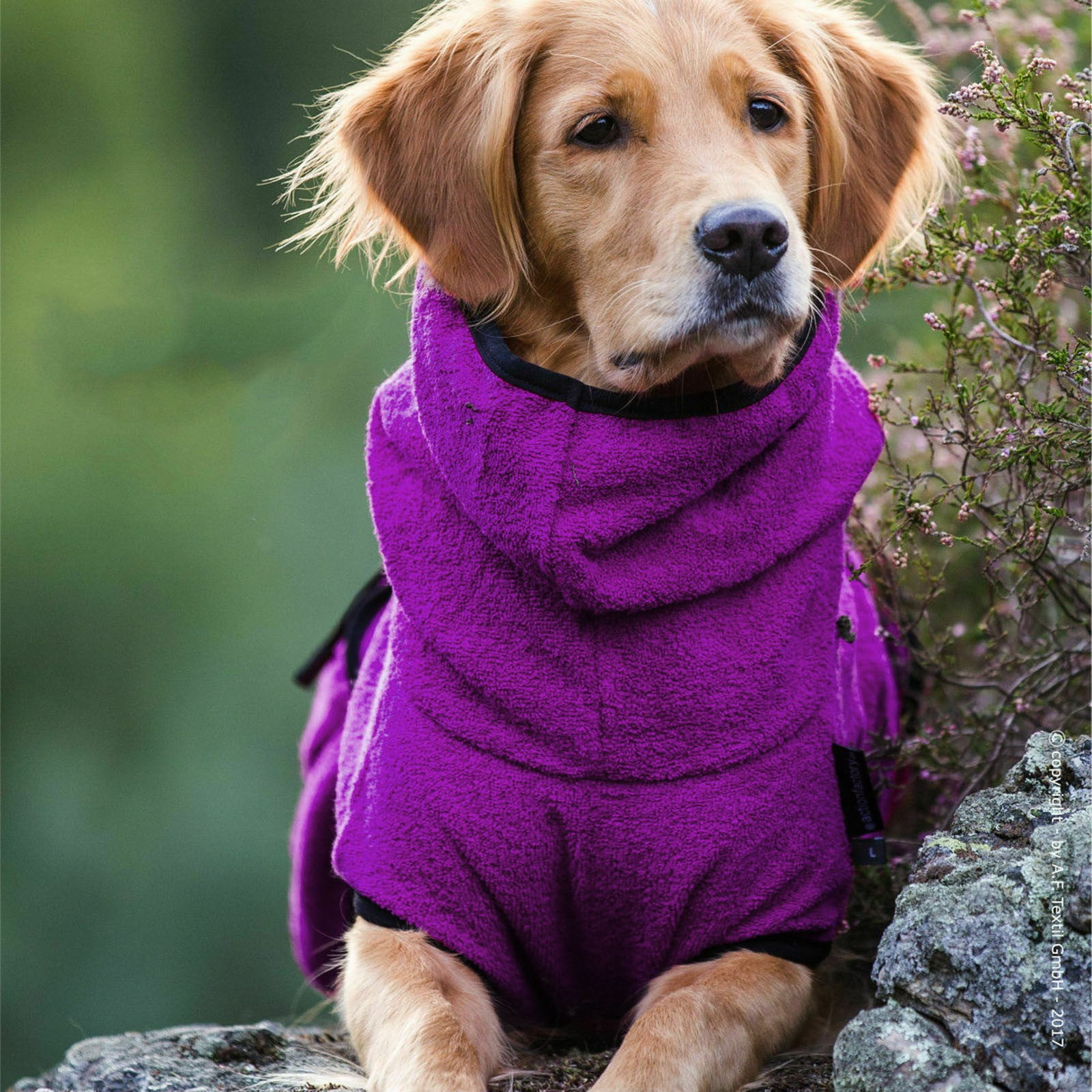 Dog Sweaters, Adjustable Waist Dog Bathrobe Towel, Winter Warm Dog Coat ...