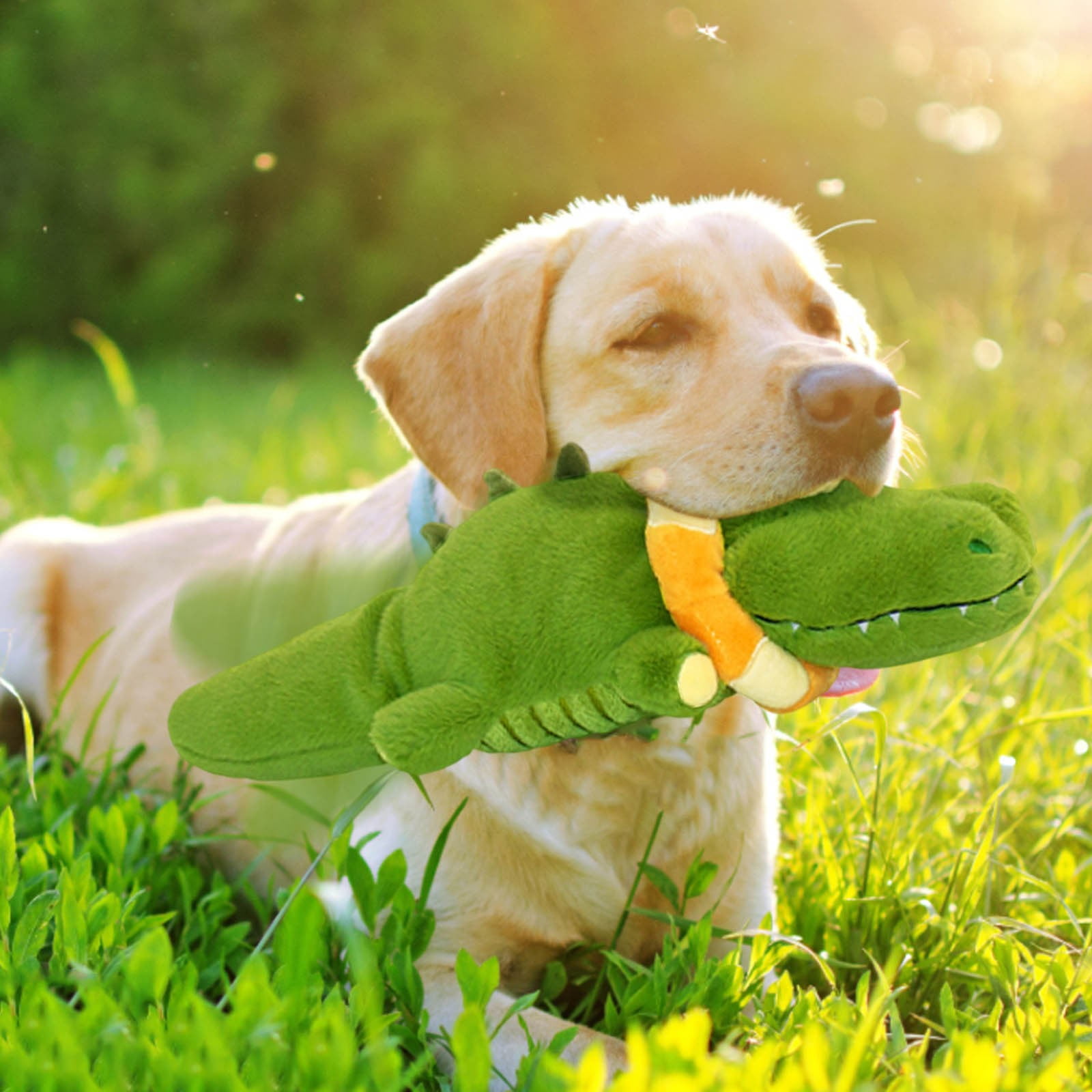 Dog T-oys To Keep Them Busy - Calming Crocodile, Plush Dog T-oy ...