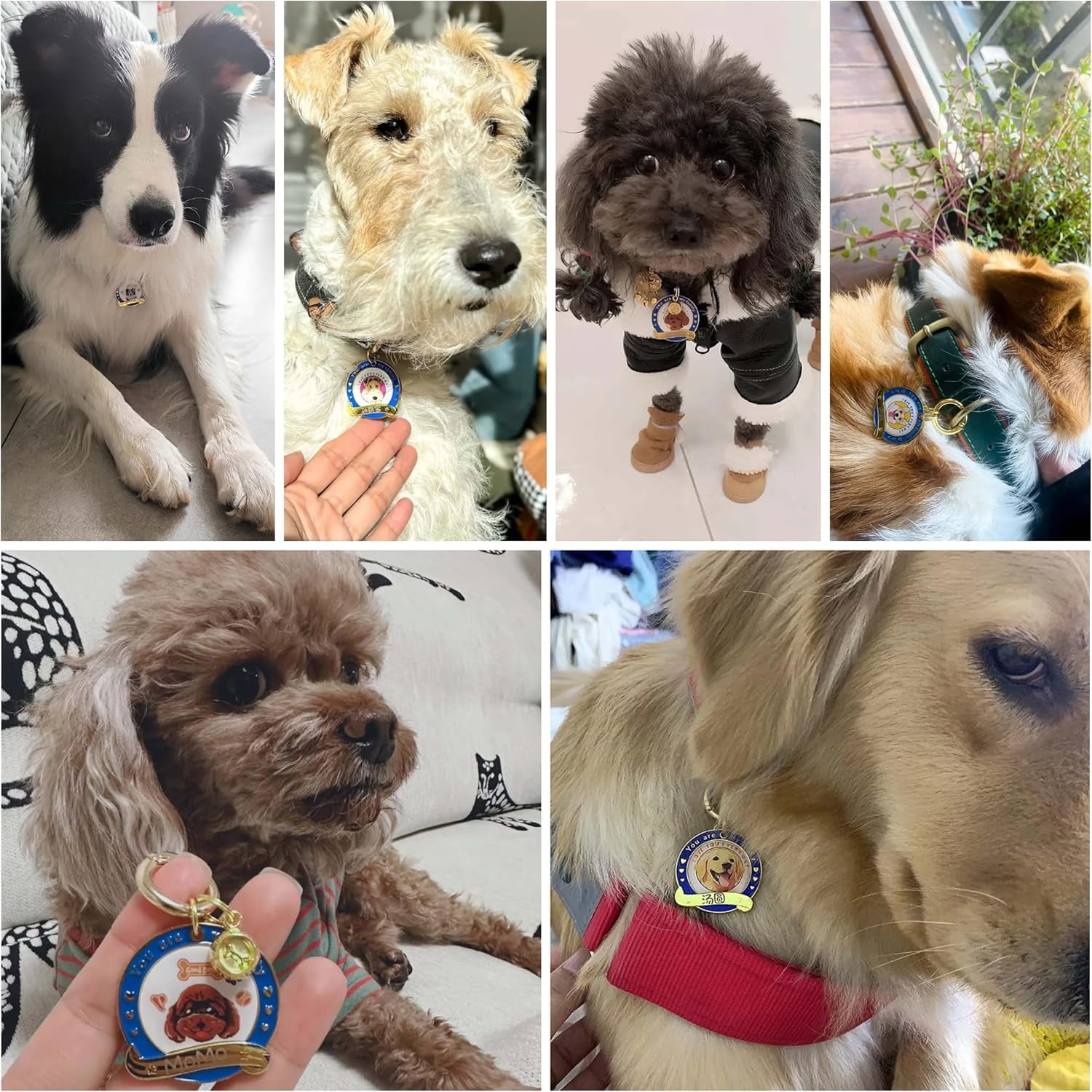 Dog Tags Engraved For Pets丨Personalized Puppy Dogs Portrait Name Tag丨 ...