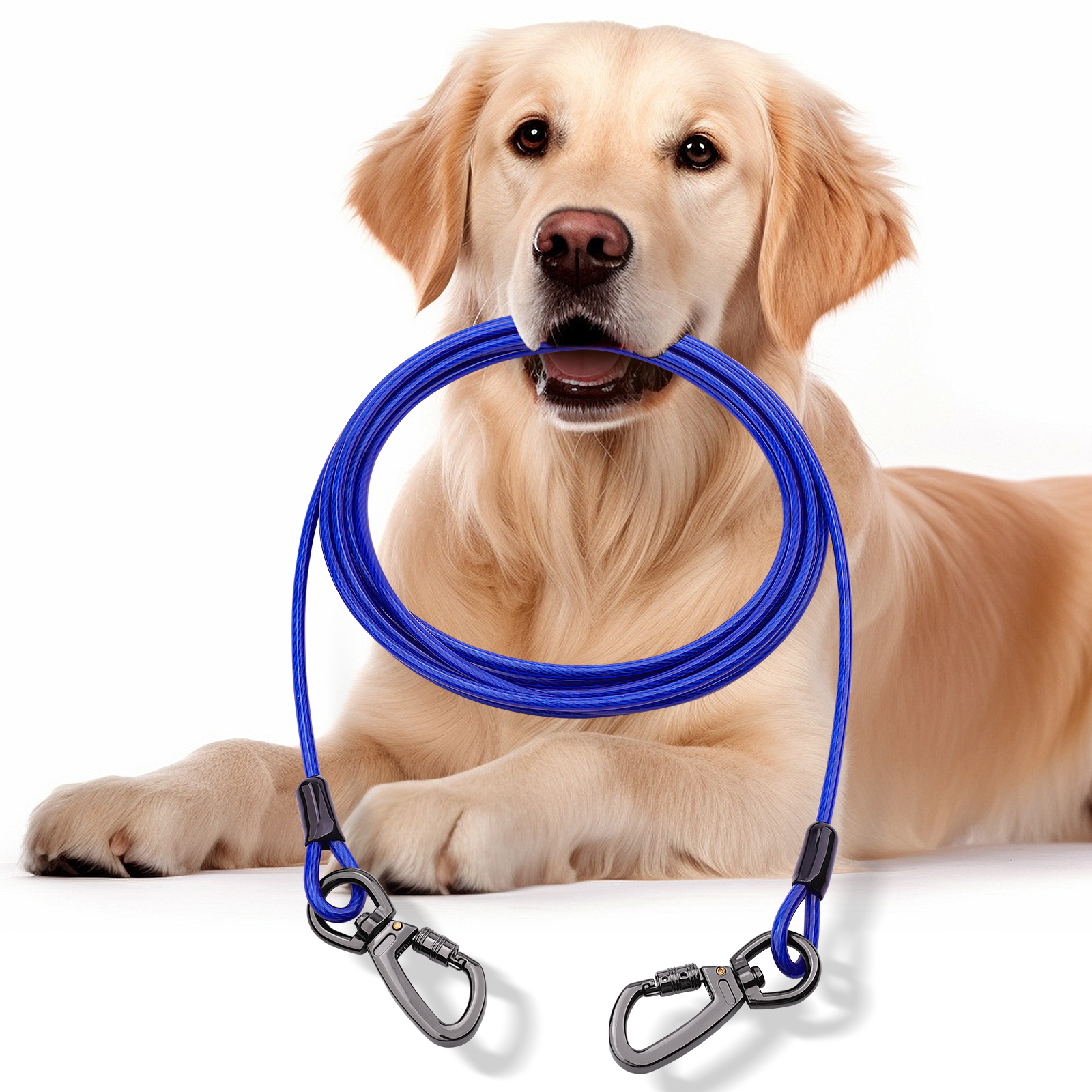 Hamilton 5/8-Inch Single Thick Nylon Lead with Swivel Snap , 6 feet ...