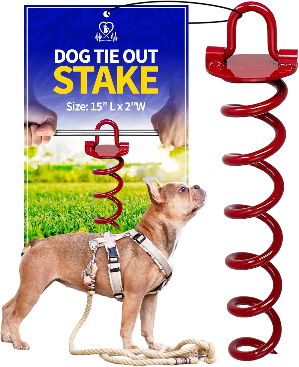 Dog Tie Out Stake - Heavy Duty Steel Yard Stake, Secure Ground Anchor ...