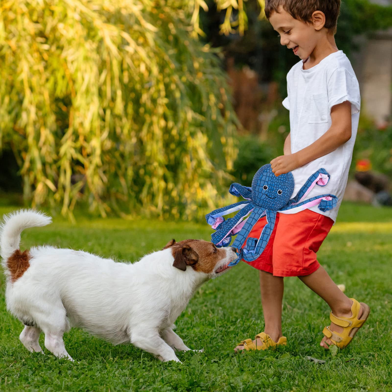 Dog Toys,Blue Interactive Dog Toys,Funny Dog Toy,Tug of War Dog Toy for ...
