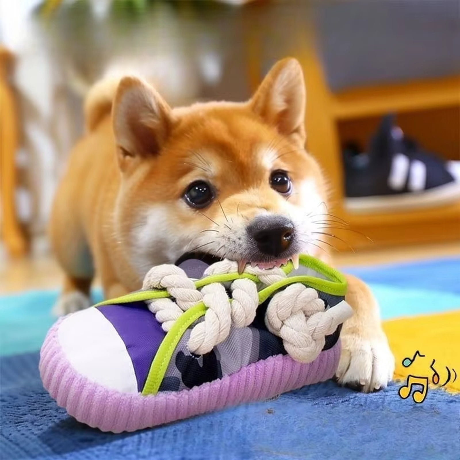 Dog Toys, Chew Toys for Dogs Squeaky Plush Slipper Shape with Durable ...