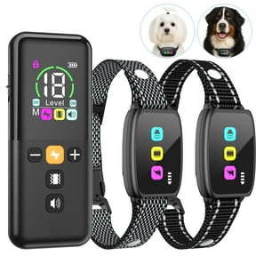 Halo Collar Wireless GPS Dog Fence and Tracking Collar, Small, Graphite ...
