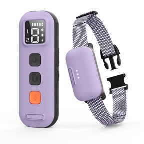 Best Sellers In Pet Supplies Dog Training Collars