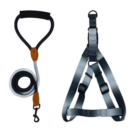 Dog Training Harness & Leash Set Walking Pet Chest Harness Training ...