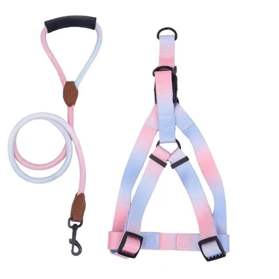 Dog Training Harness & Leash Set Walking Pet Chest Harness Training ...