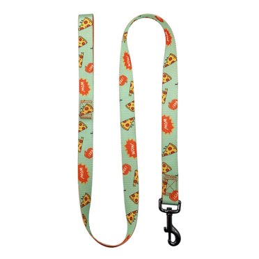 VIVAGLORY Dog Leash with Padded Handle, Reflective Nylon Lead, Small ...