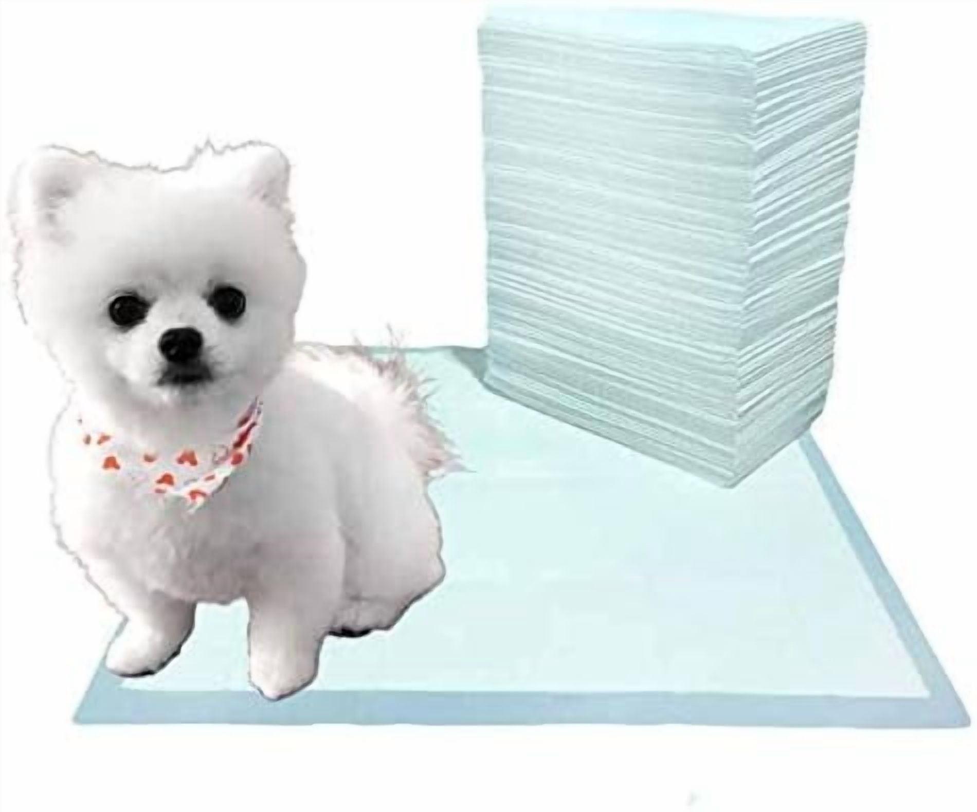Dog Training Pad 50pc - Walmart.com