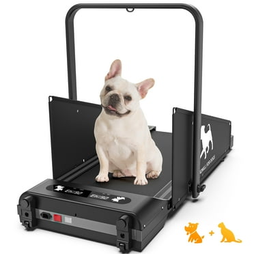 Luku 1.5HP Folding Dog Running Machine, Small Dog Treadmill, Dog Pacer ...
