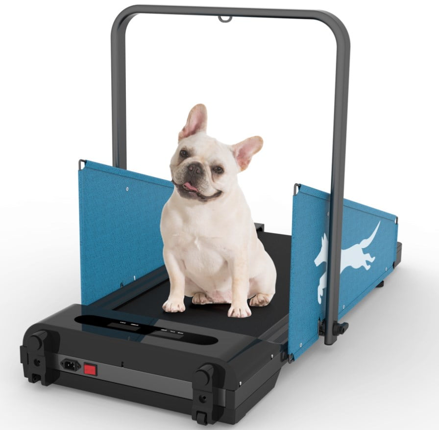 Dog Treadmill for Small Dogs,Dog Treadmill with Pre-Set Exercise ...