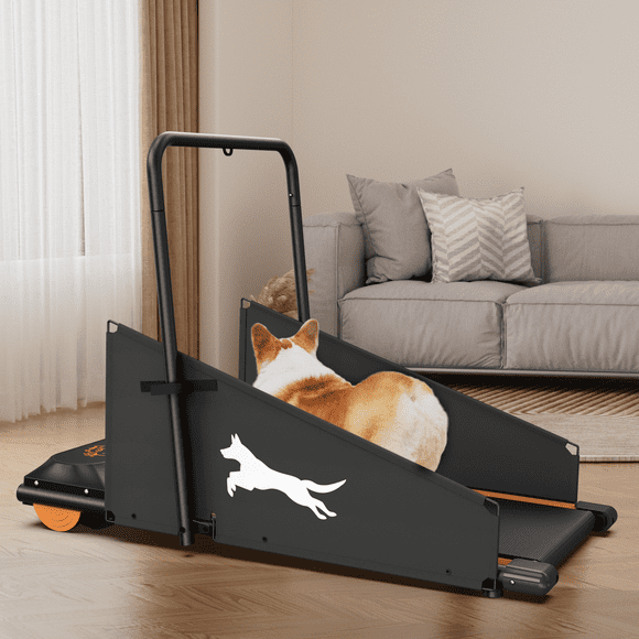 Dog Treadmills in Dogs - Walmart.com